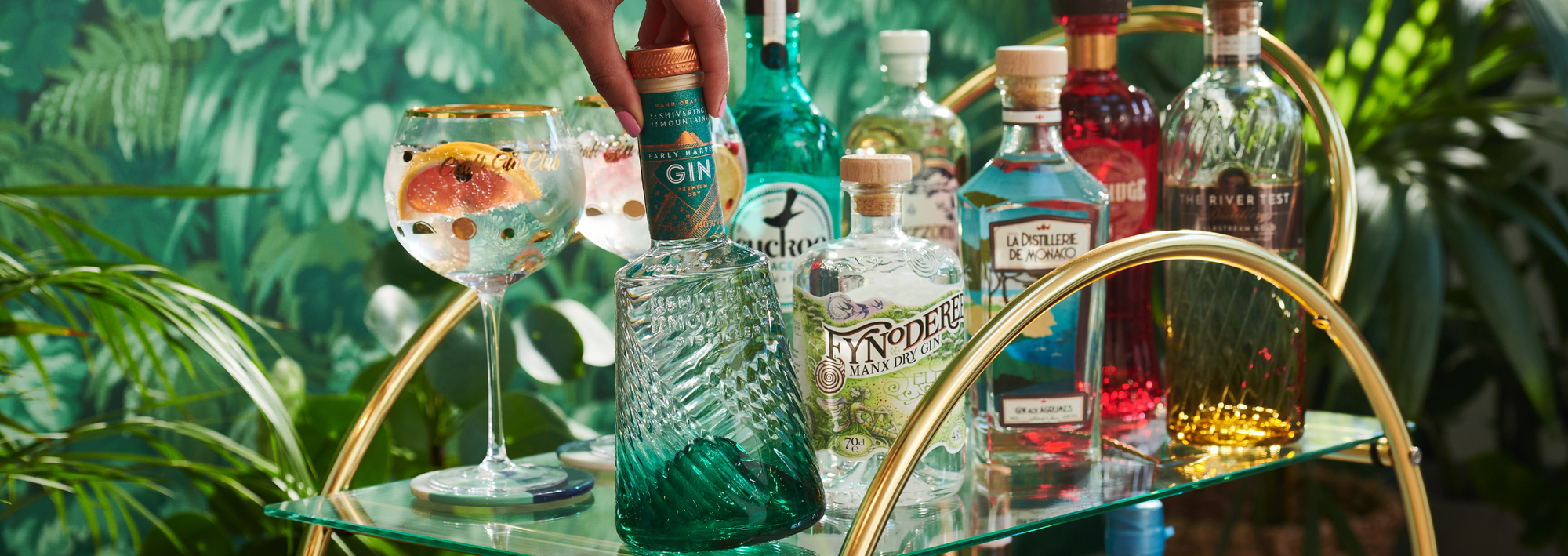 Gin delivery | Handpicked by Craft Gin Club tasting experts